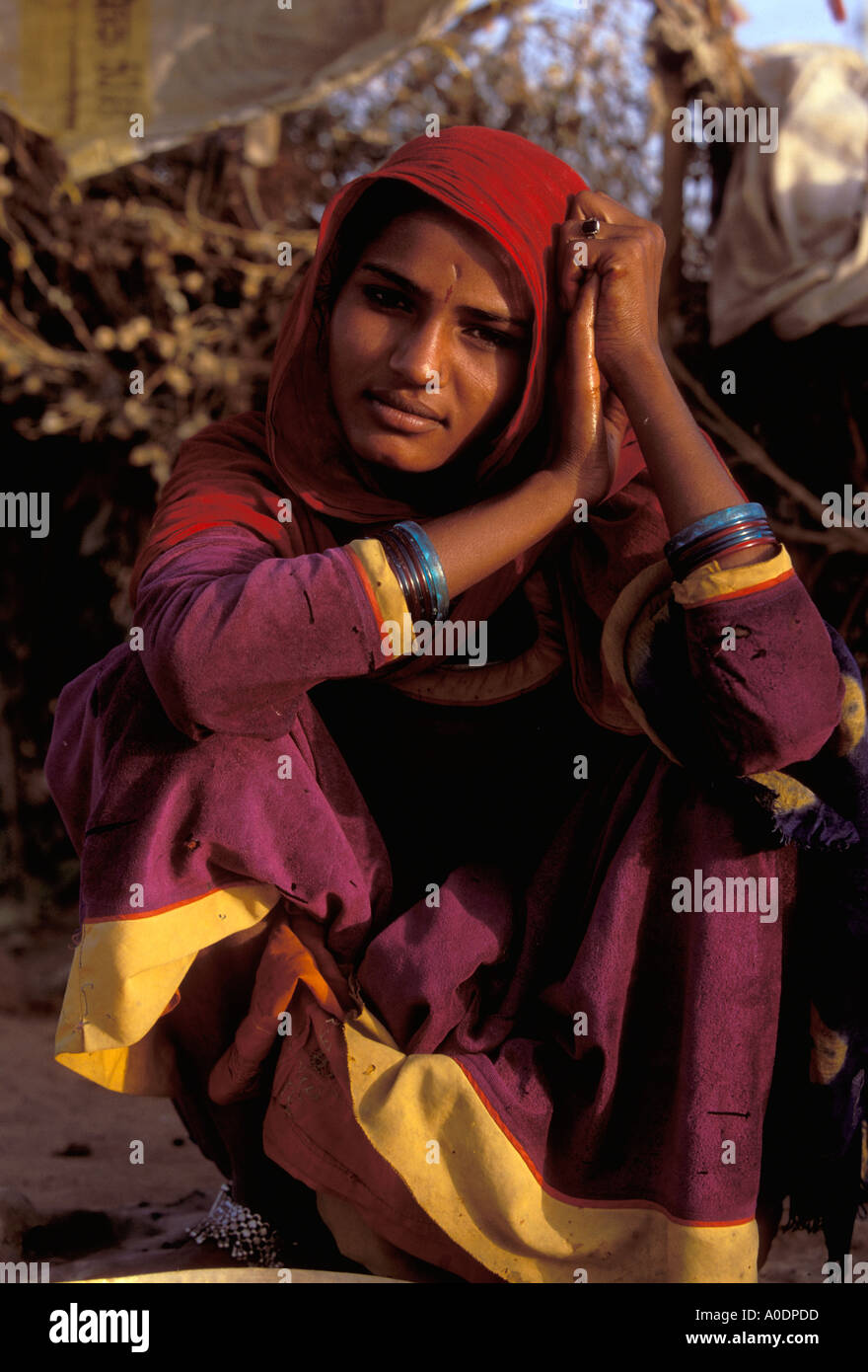 Kalbeliya Gypsy Traditional Dancers and Snake Charmers Indigenous ...