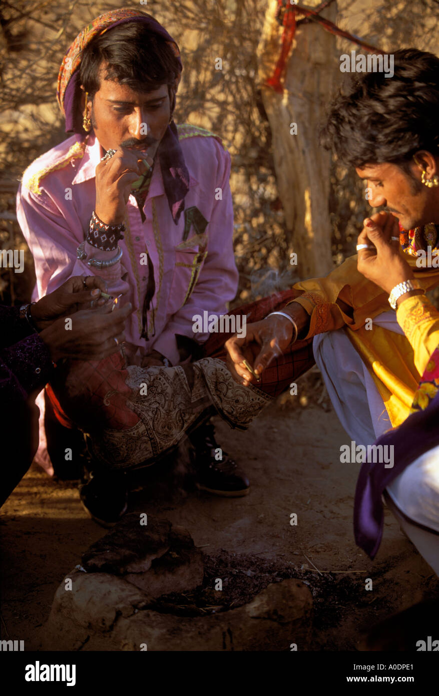 Kalbeliya Gypsy Traditional Dancers and Snake Charmers Indigenous ...