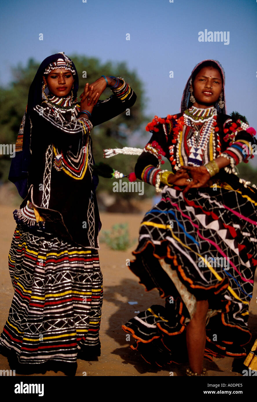 Kalbeliya Gypsy Traditional Dancers and Snake Charmers Indigenous ...