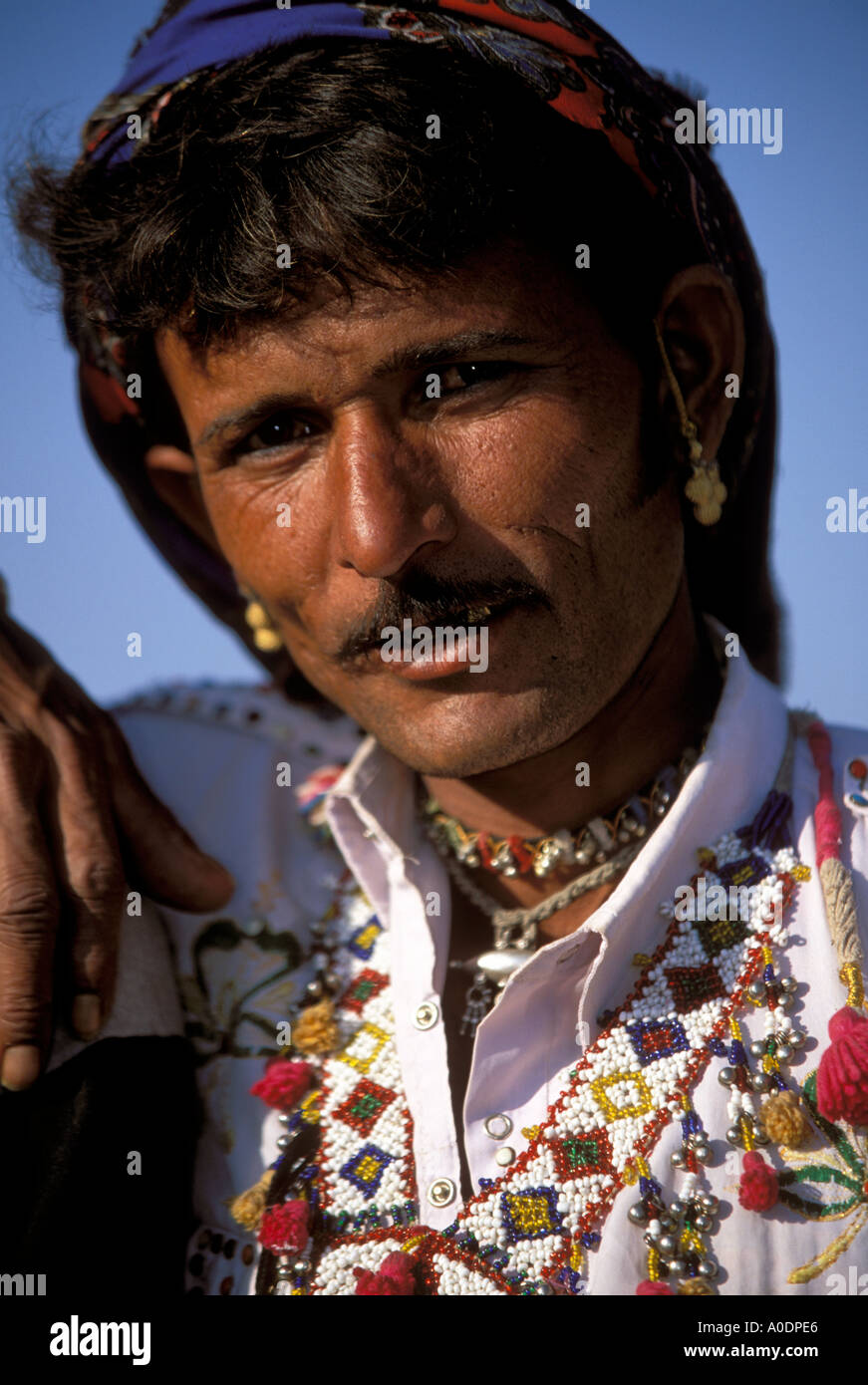 Kalbeliya Gypsy Traditional Dancers and Snake Charmers Indigenous ...