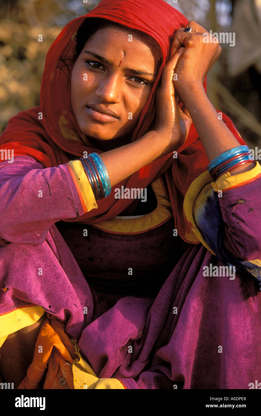 Kalbeliya Gypsy Traditional Dancers and Snake Charmers Indigenous ...