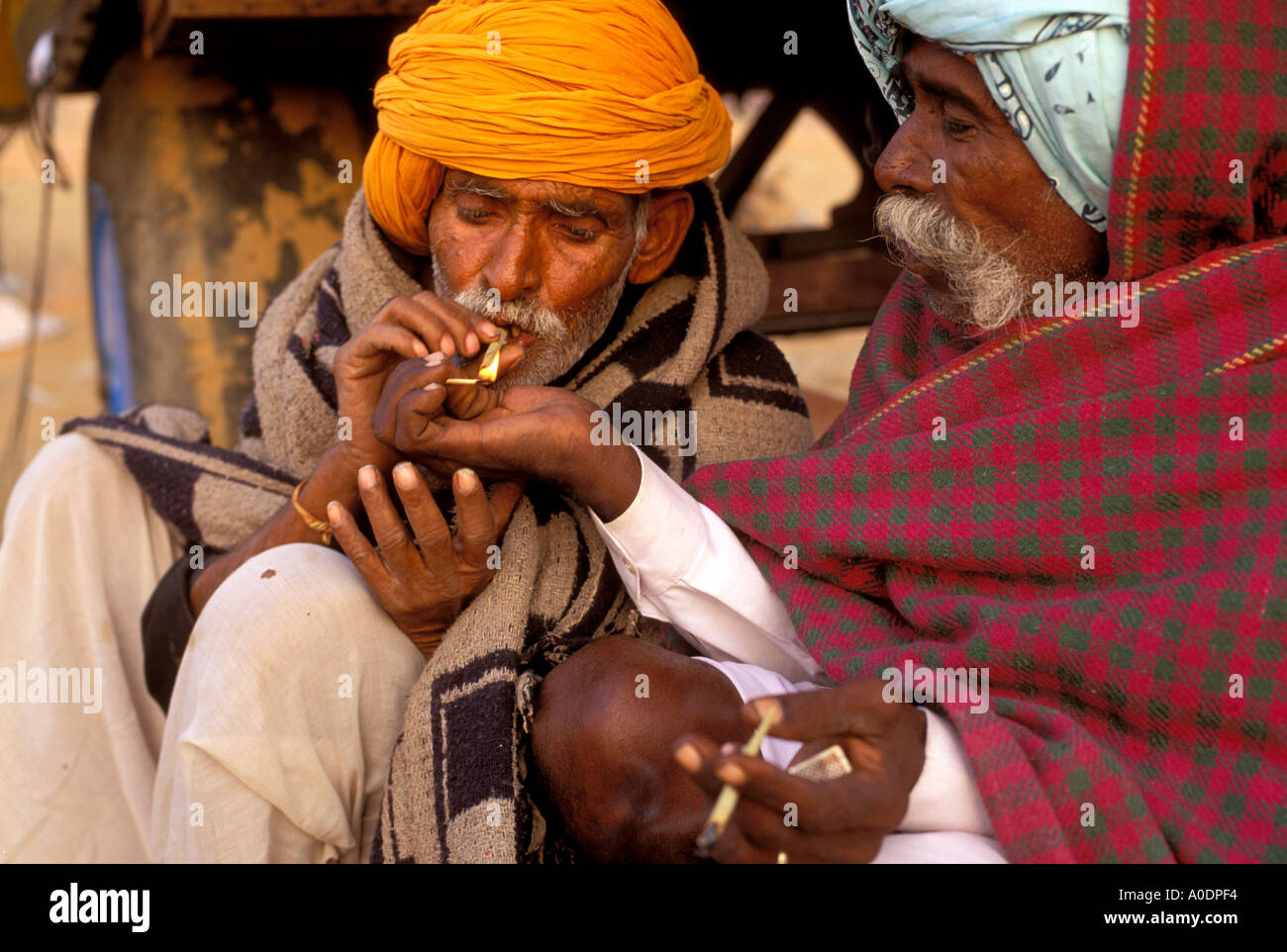 Marwari people nomadic tribe rajasthan hi-res stock photography and ...