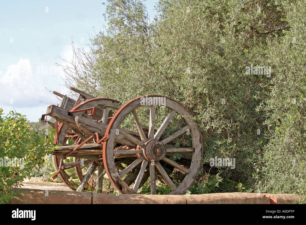 old rusty horse carriage Algarve Portugal Stock Photo - Alamy