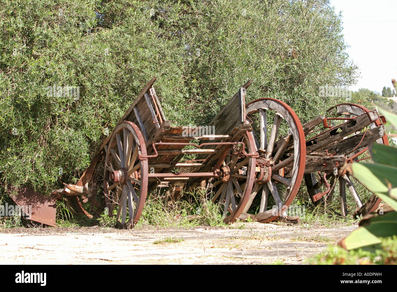 Abandoned old wooden horse cart hi-res stock photography and images - Alamy