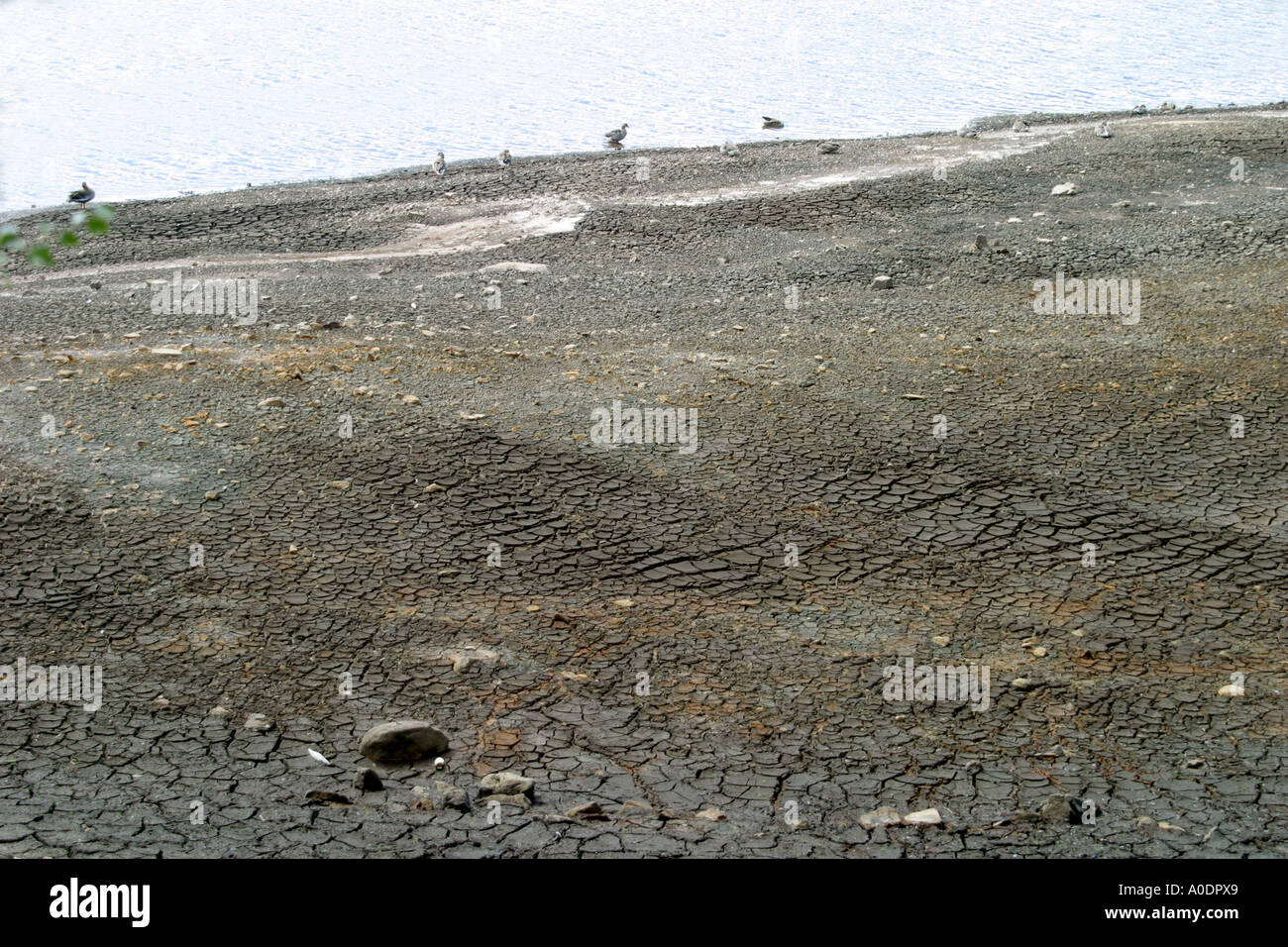Dried out water supply reservoir Stock Photo - Alamy