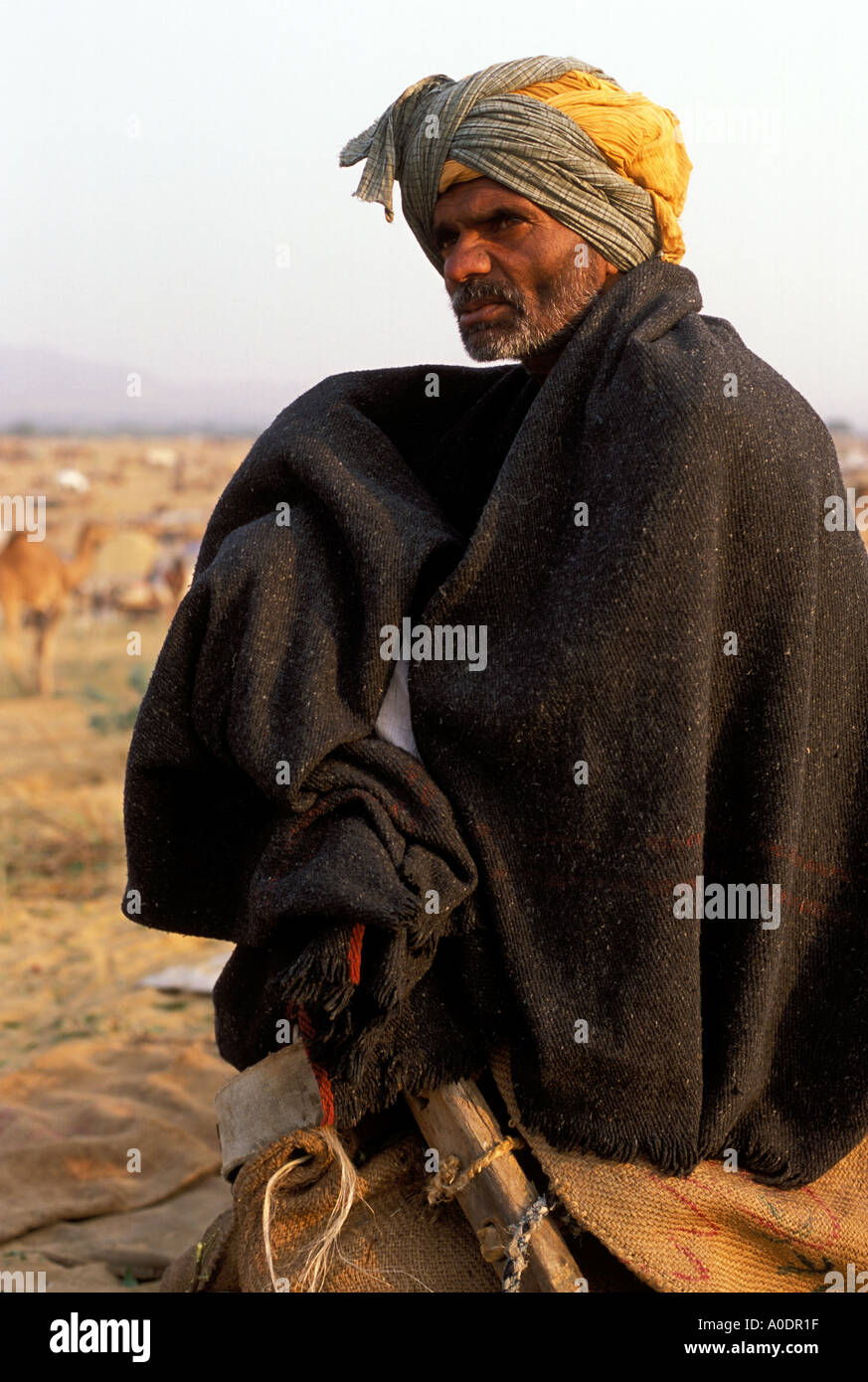 Marwari people nomadic tribe rajasthan hi-res stock photography and ...
