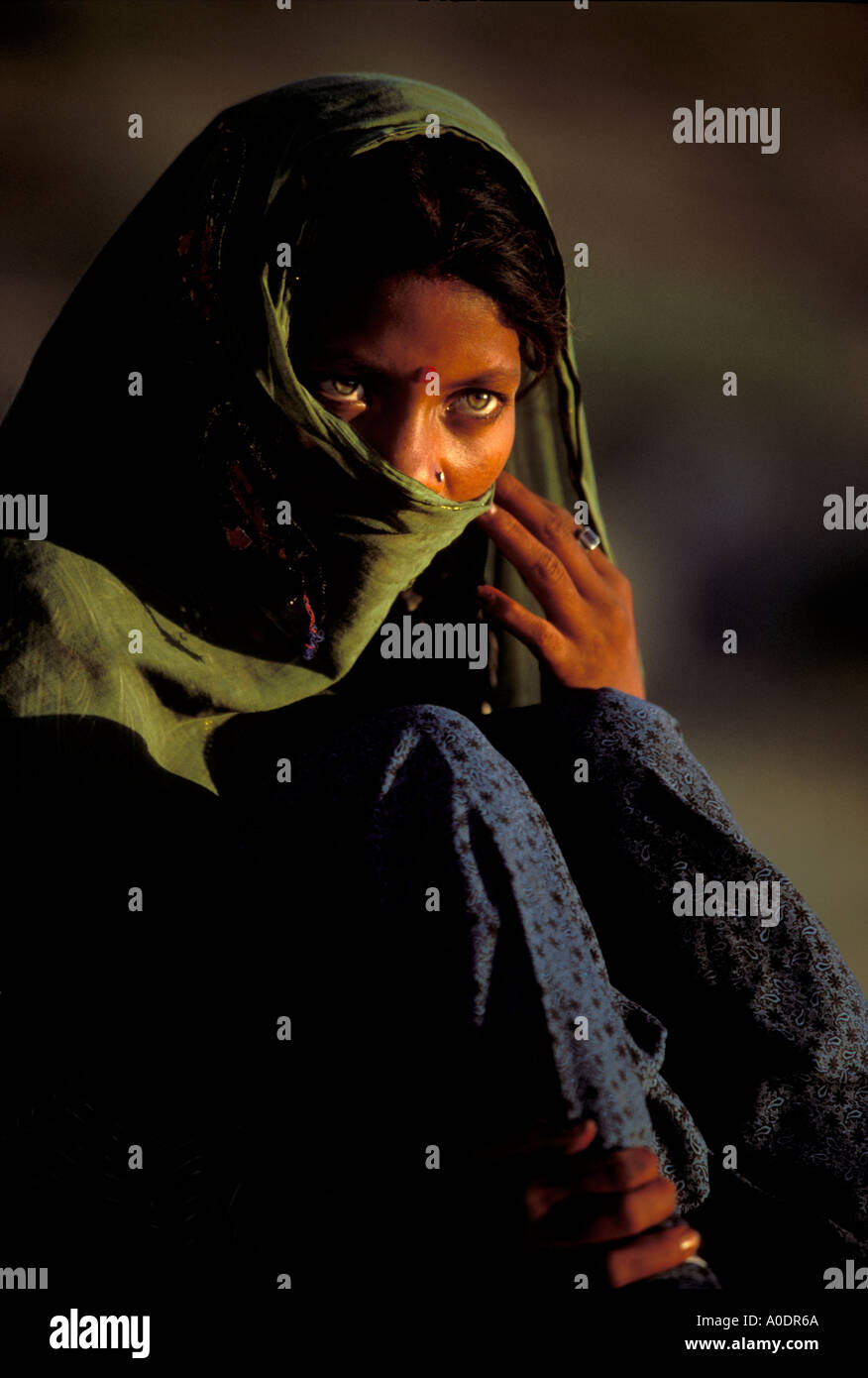Bauriya Gypsy Girl Pushkar Rajasthan desert India Stock Photo - Alamy