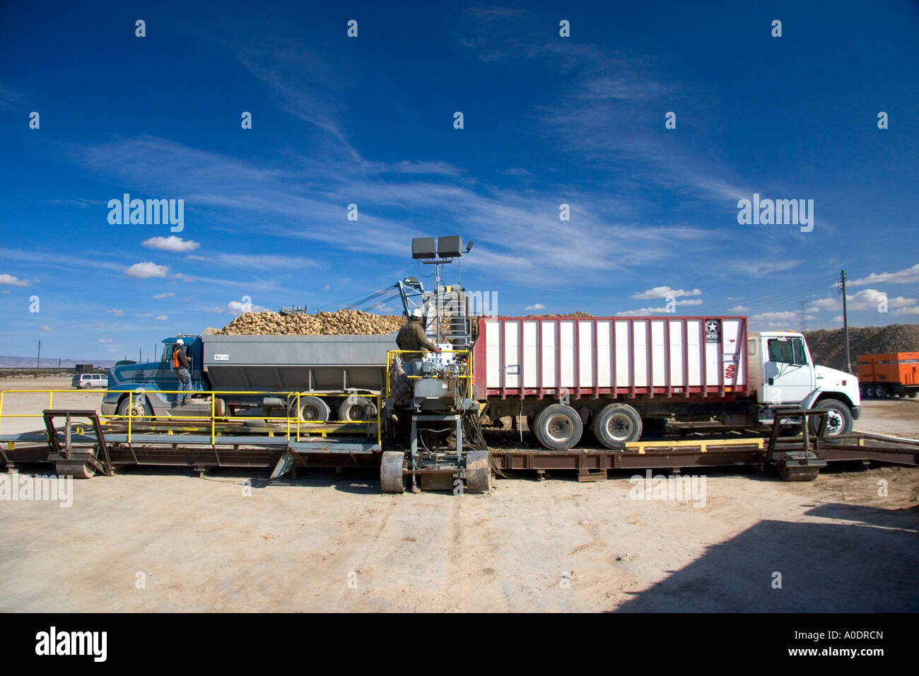 Trucks hauling harvested sugar beets in Mountain Home Idaho Stock Photo ...