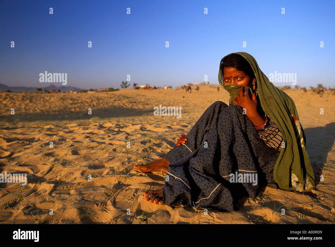 Bauriya Gypsy Girl Pushkar Rajasthan desert India Stock Photo - Alamy