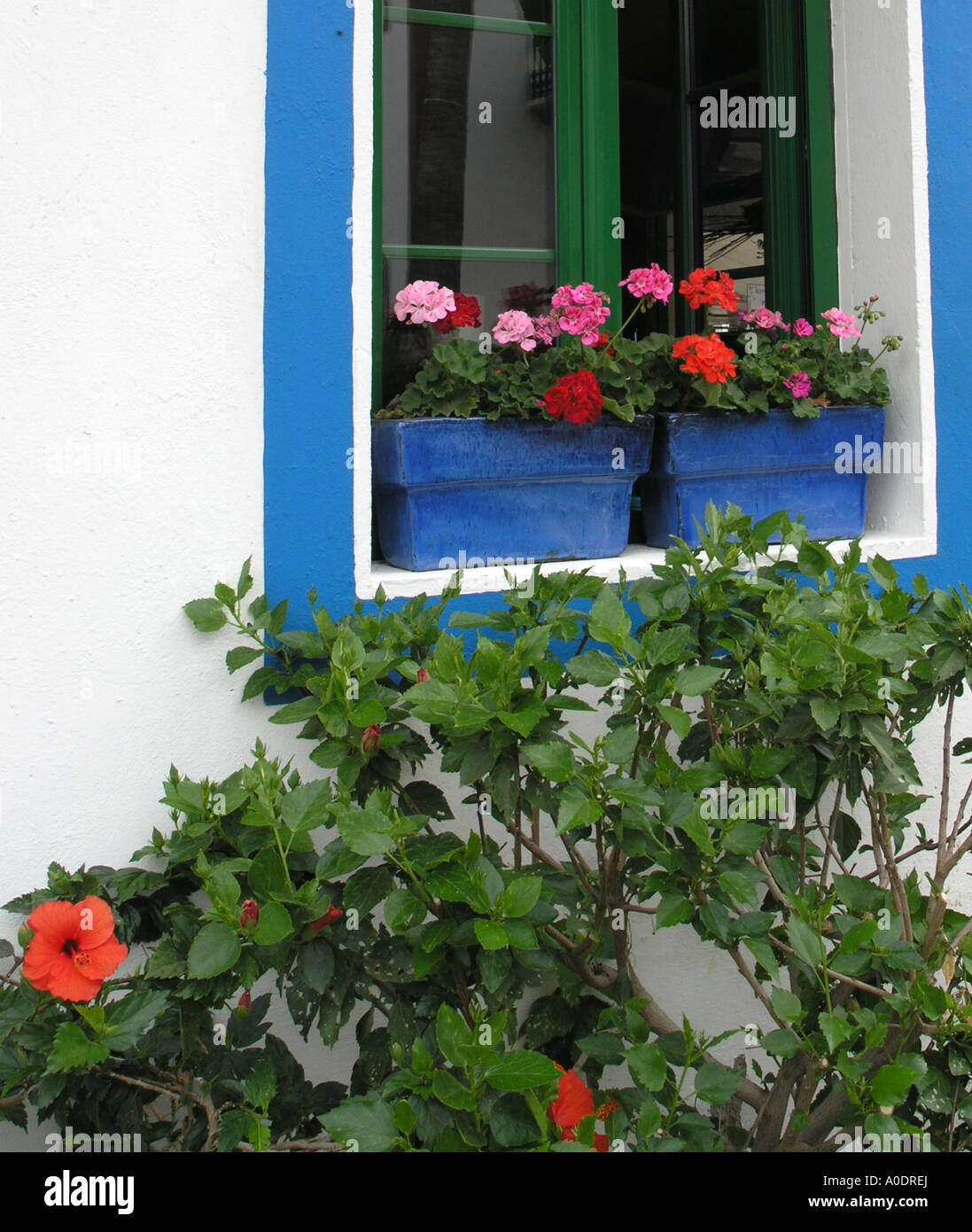 Ceramic window boxes on window sill Stock Photo - Alamy