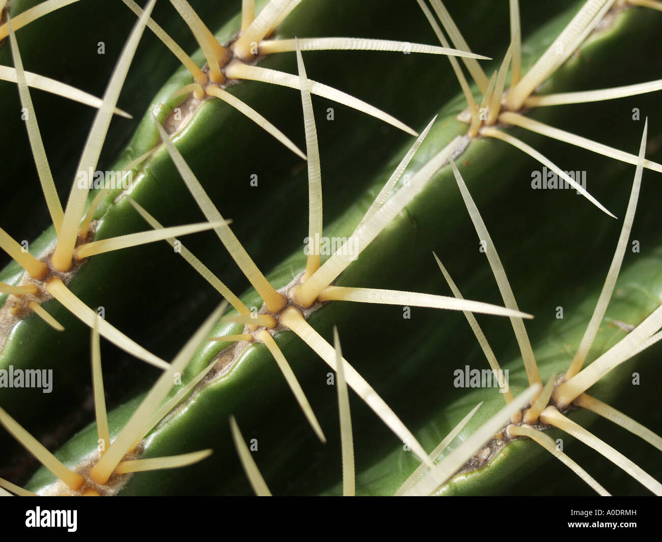 Pin needles hi-res stock photography and images - Alamy