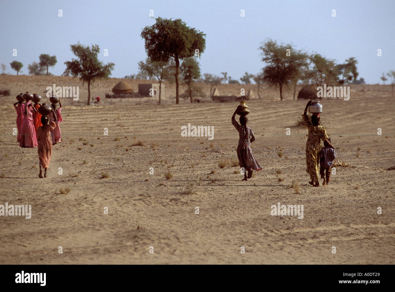 Bhil indigenous women carrying water jugs on their heads Desert village ...