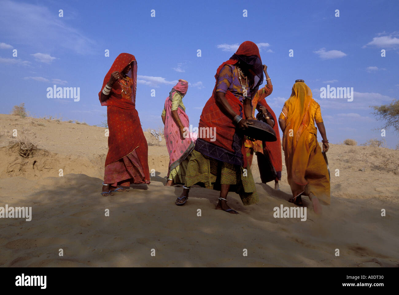 Bishnoi tribes hi-res stock photography and images - Alamy