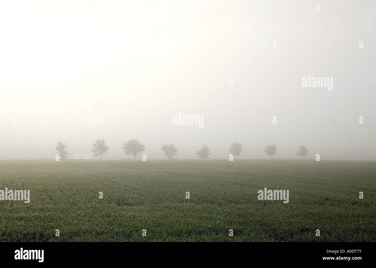 Differerent hi-res stock photography and images - Alamy