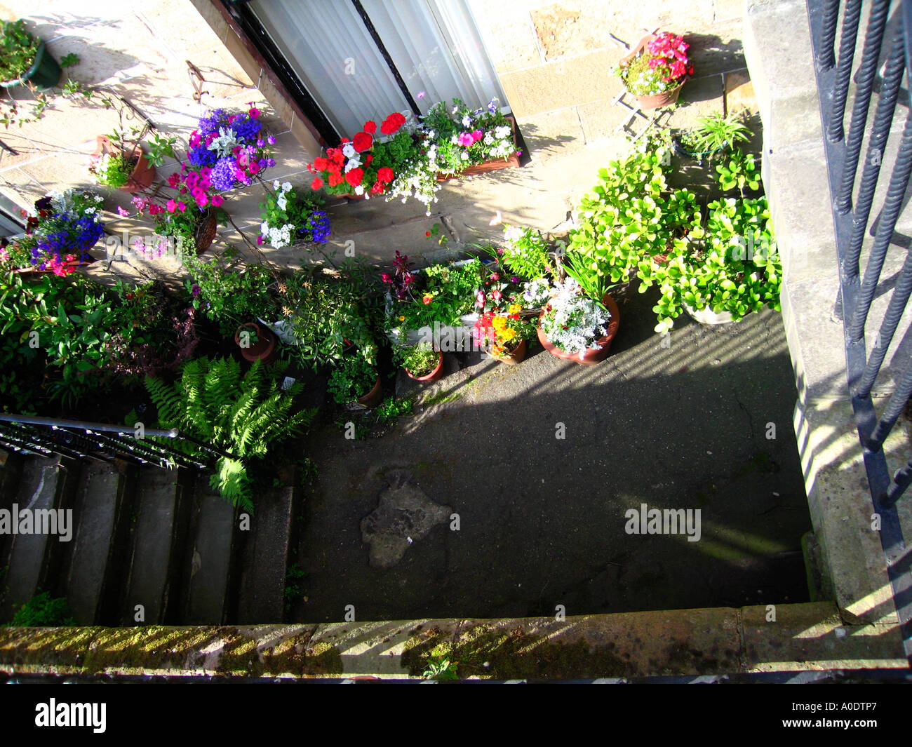 Basement garden hi-res stock photography and images - Alamy
