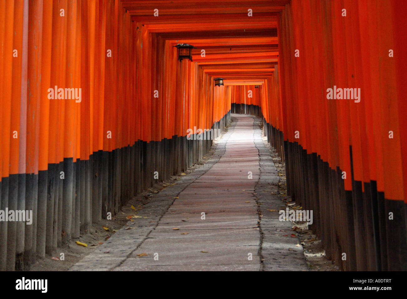Fushimi inari archways hi-res stock photography and images - Alamy