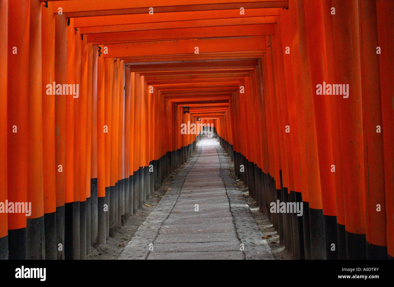 Fushimi inari archways hi-res stock photography and images - Alamy
