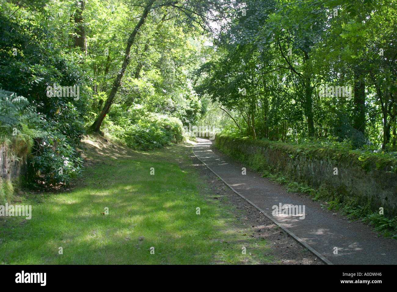 Footpath into the unknown hi-res stock photography and images - Alamy