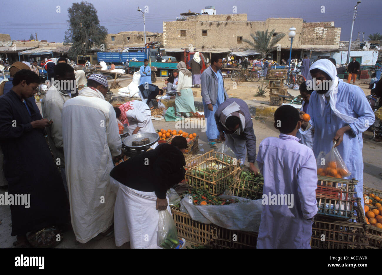 Market Siwa Sahara Egypt Stock Photo - Alamy