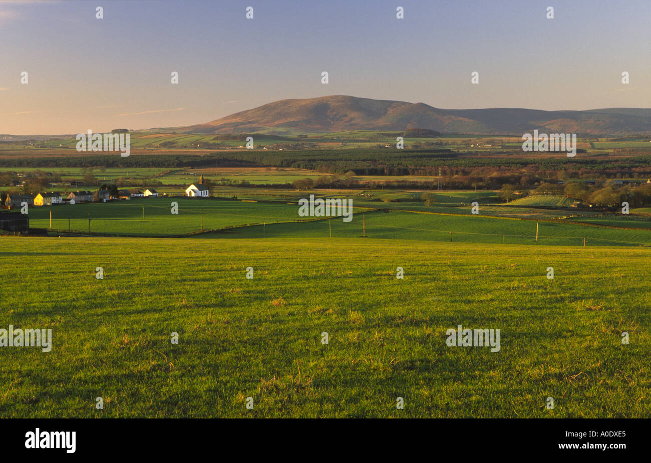 Mouswald High Resolution Stock Photography and Images - Alamy