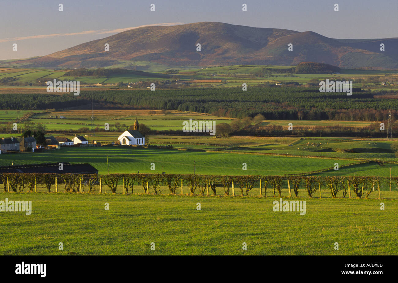 Mouswald hi-res stock photography and images - Alamy