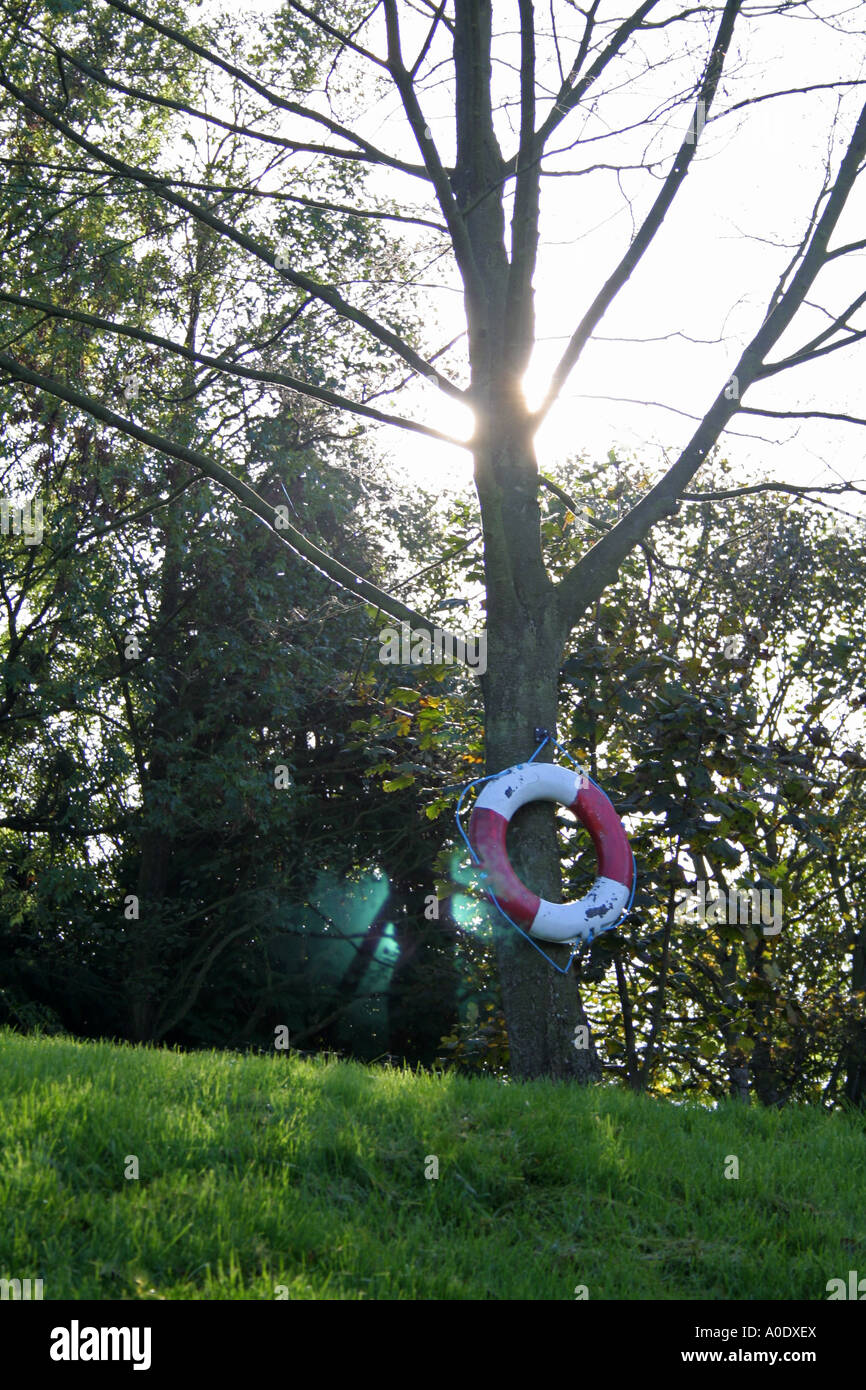 Unusual tree with strange effect, and circular buoyancy aid Stock Photo ...