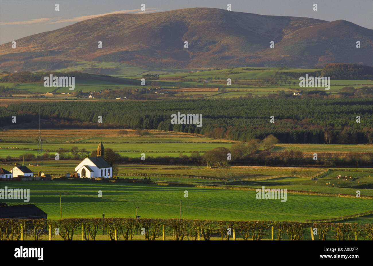 Mouswald High Resolution Stock Photography and Images - Alamy