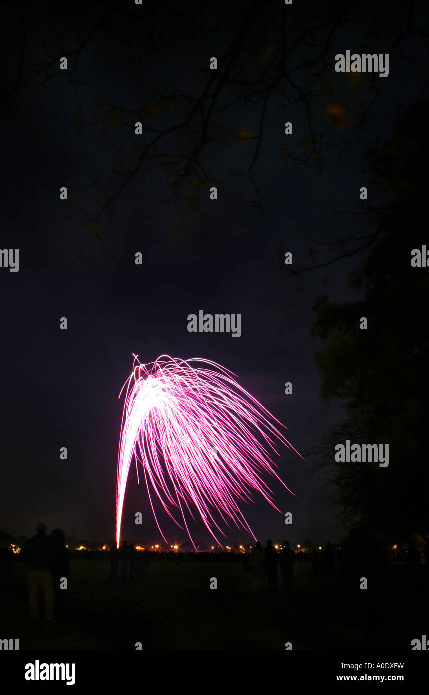 Firework on long exposure Stock Photo - Alamy