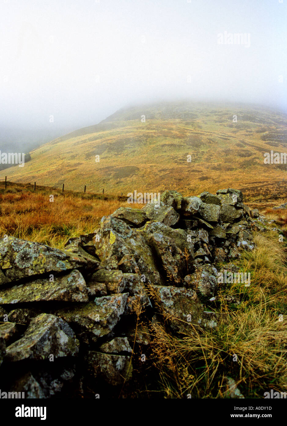 View towards cloud shrouded White Coomb Stock Photo - Alamy