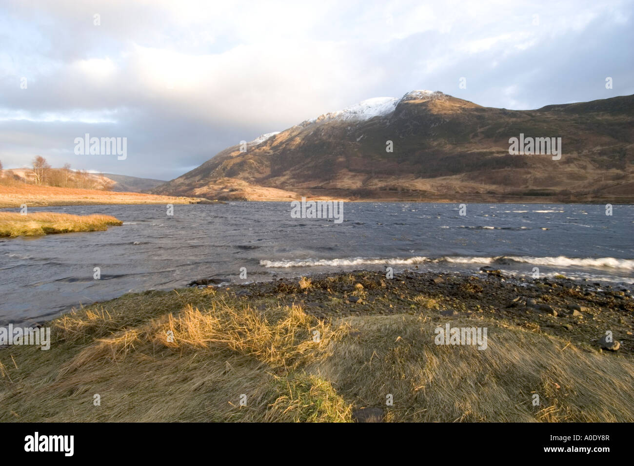 SCOTTISH LOCH SIDE SCENE Stock Photo - Alamy