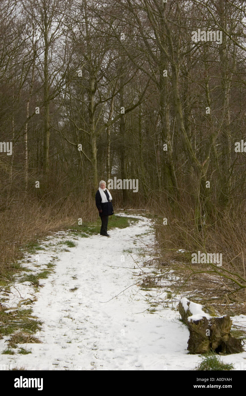 Covered woods hi-res stock photography and images - Alamy