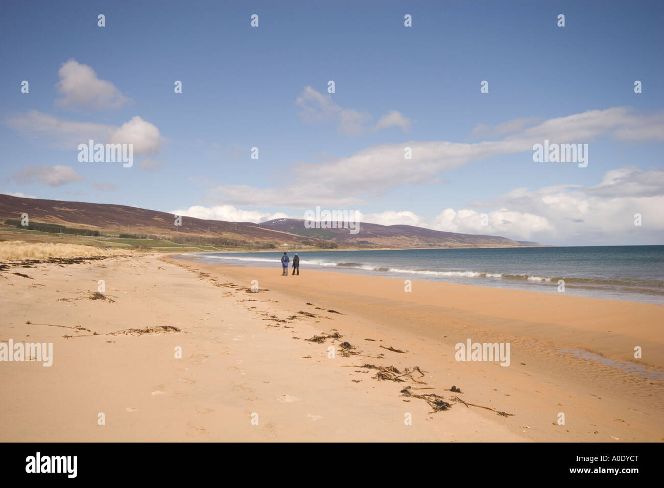 ALMOST DESERTED SANDY BEACH SCENE WITH BLUE SKY AND TWO PEOPLE IN THE ...