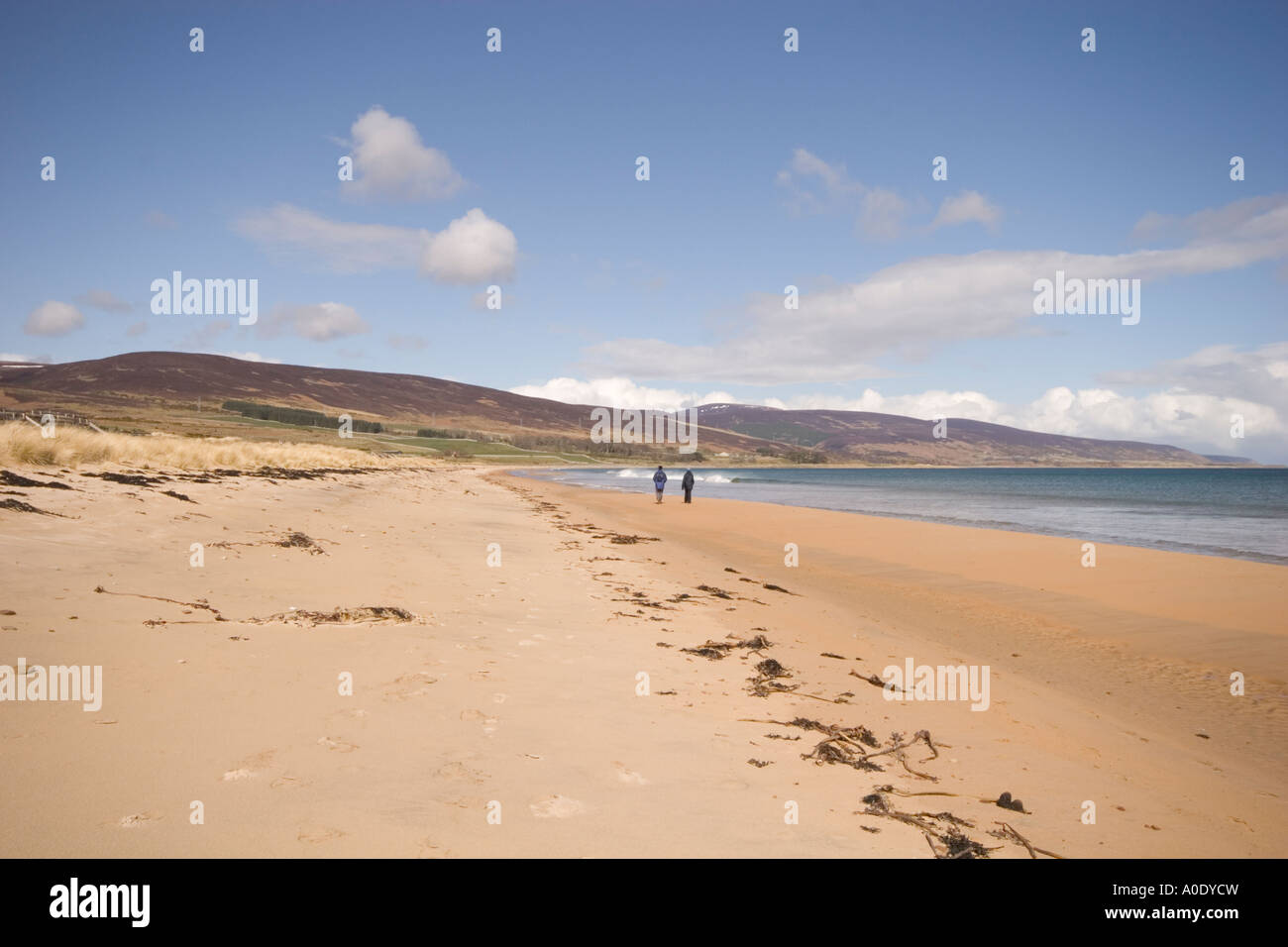 ALMOST DESERTED SANDY BEACH SCENE WITH BLUE SKY AND TWO PEOPLE IN THE ...