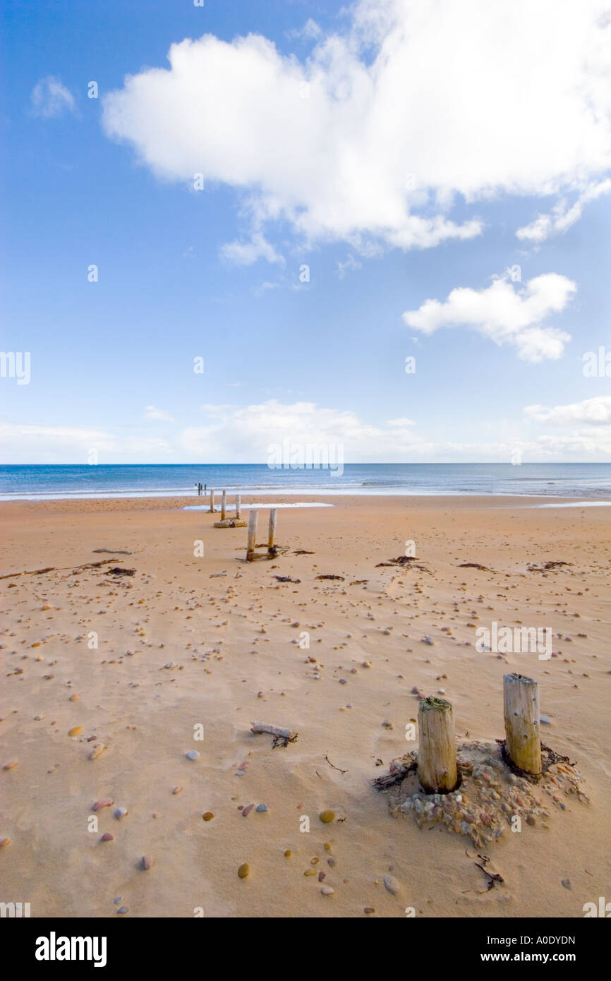 DESERTED SANDY BEACH SCENE WITH BLUE SKY AND POSTS REACHING OUT TO SEA ...