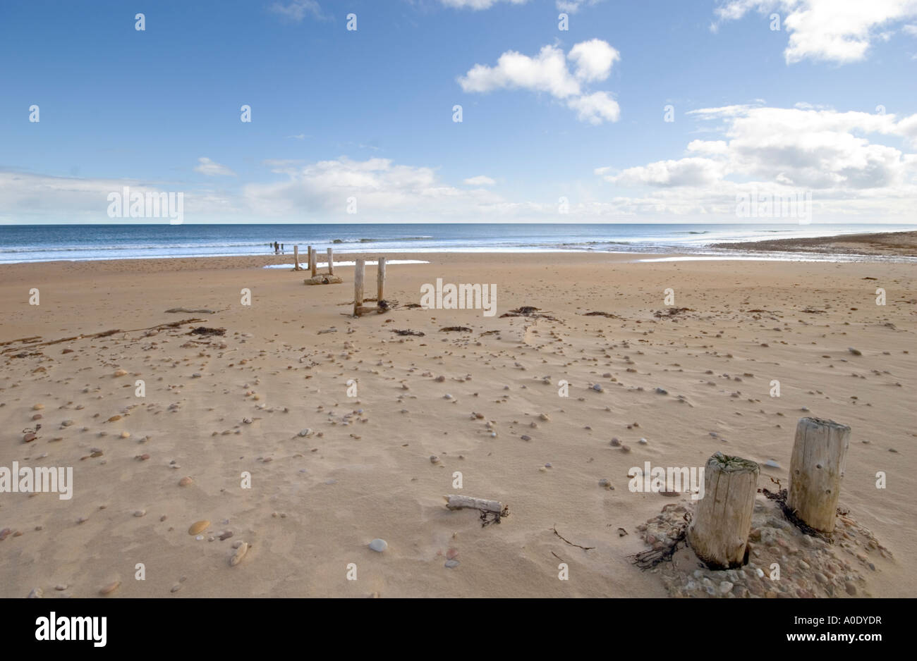 DESERTED SANDY BEACH SCENE WITH BLUE SKY AND POSTS REACHING OUT TO SEA ...