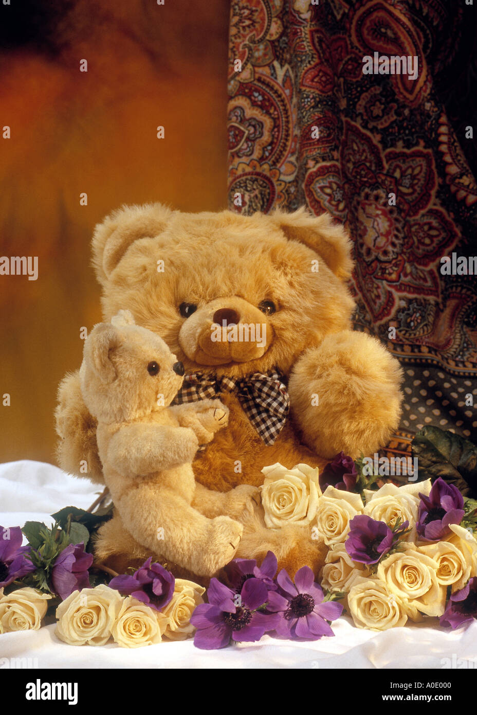 mothe rand son teddies Stock Photo - Alamy
