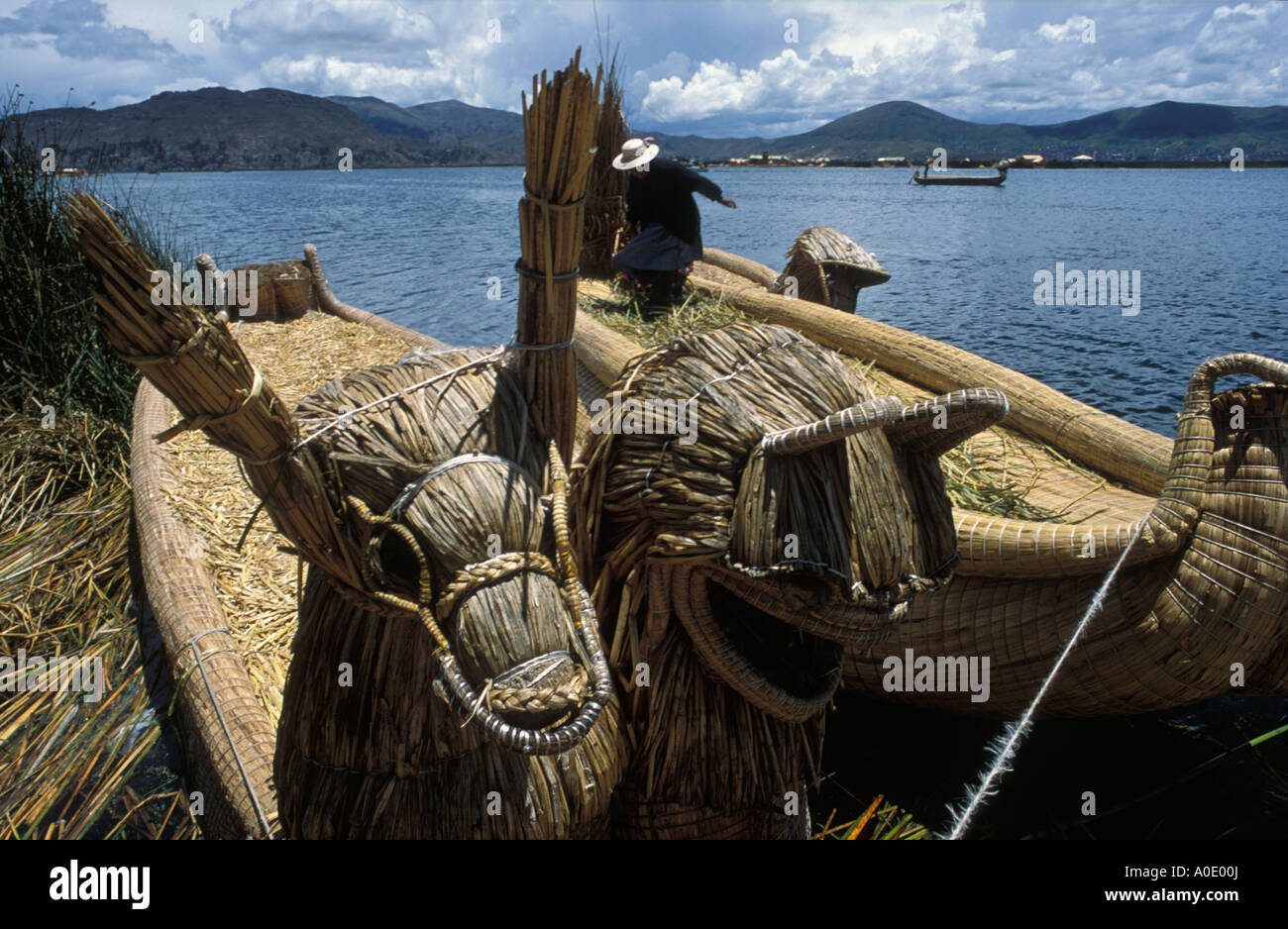 Titi lake hi-res stock photography and images - Alamy
