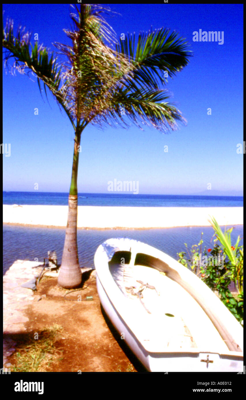 Palm Tree Beach Boat Stock Photo - Alamy