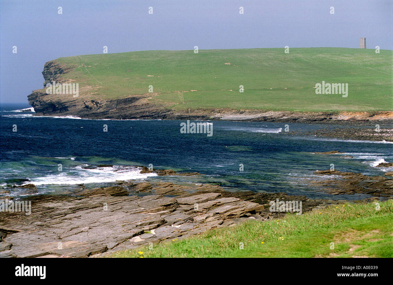 Marwick Head Orkney Islands Stock Photo - Alamy