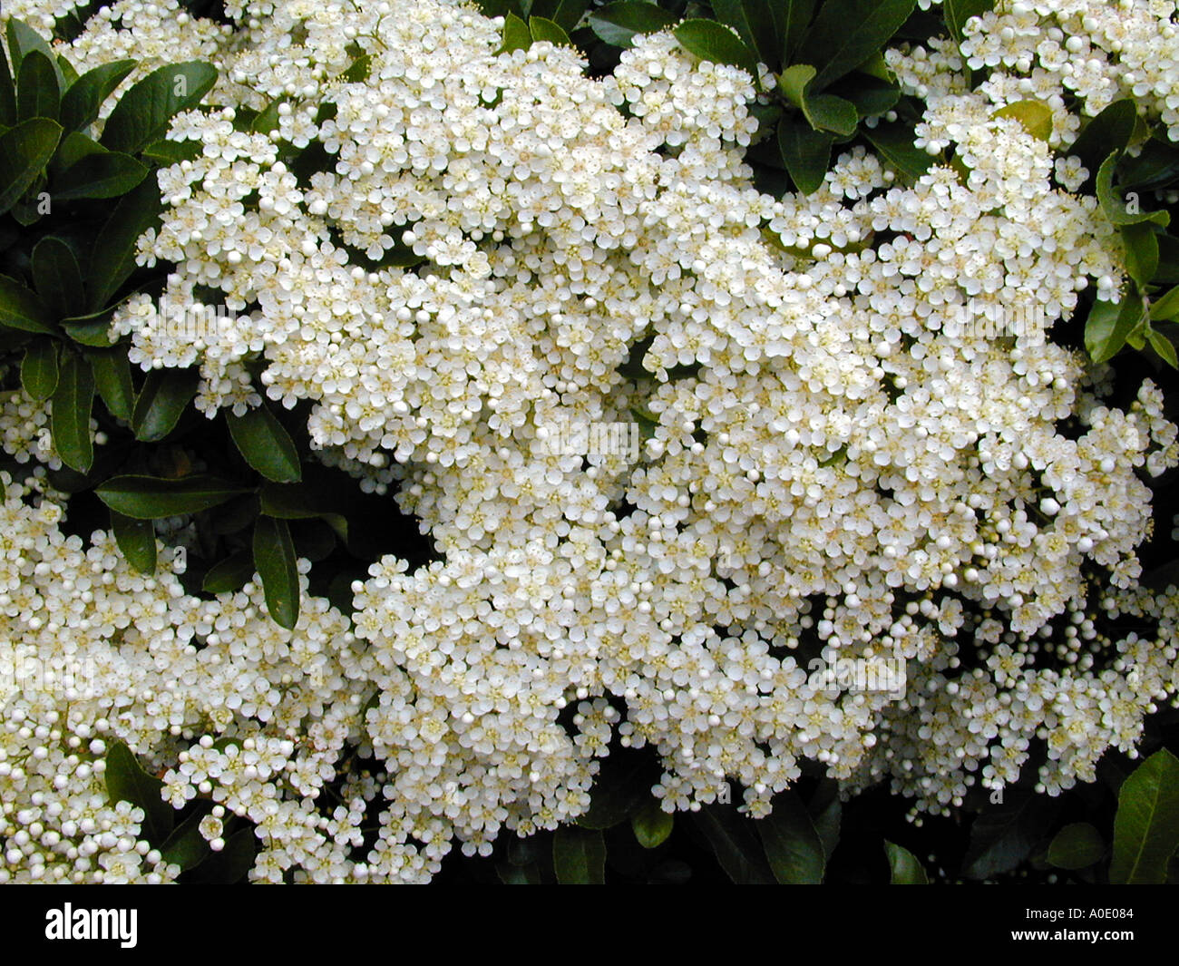 Recter hi-res stock photography and images - Alamy