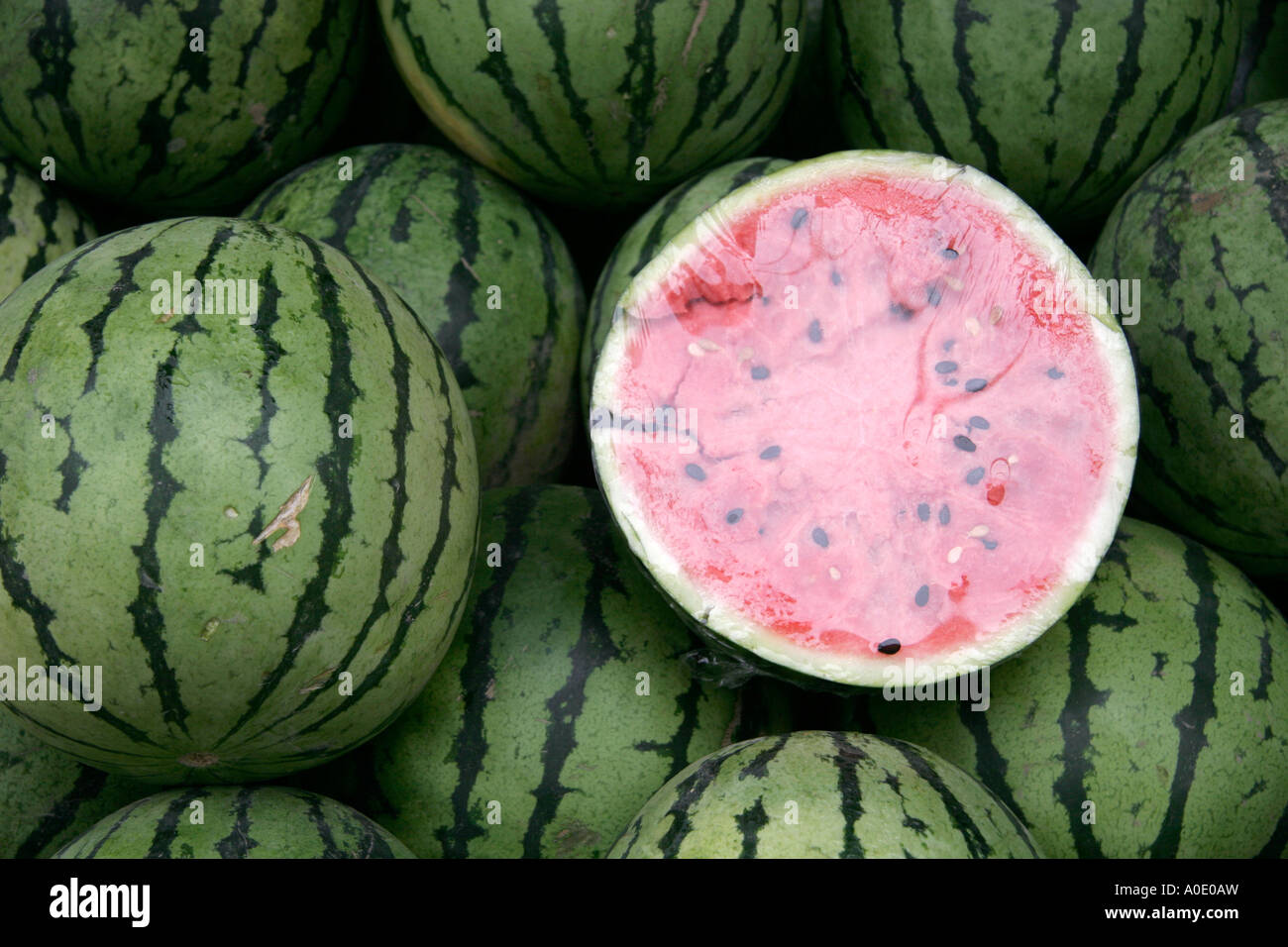 Plastic wrapped watermelon Stock Photo - Alamy