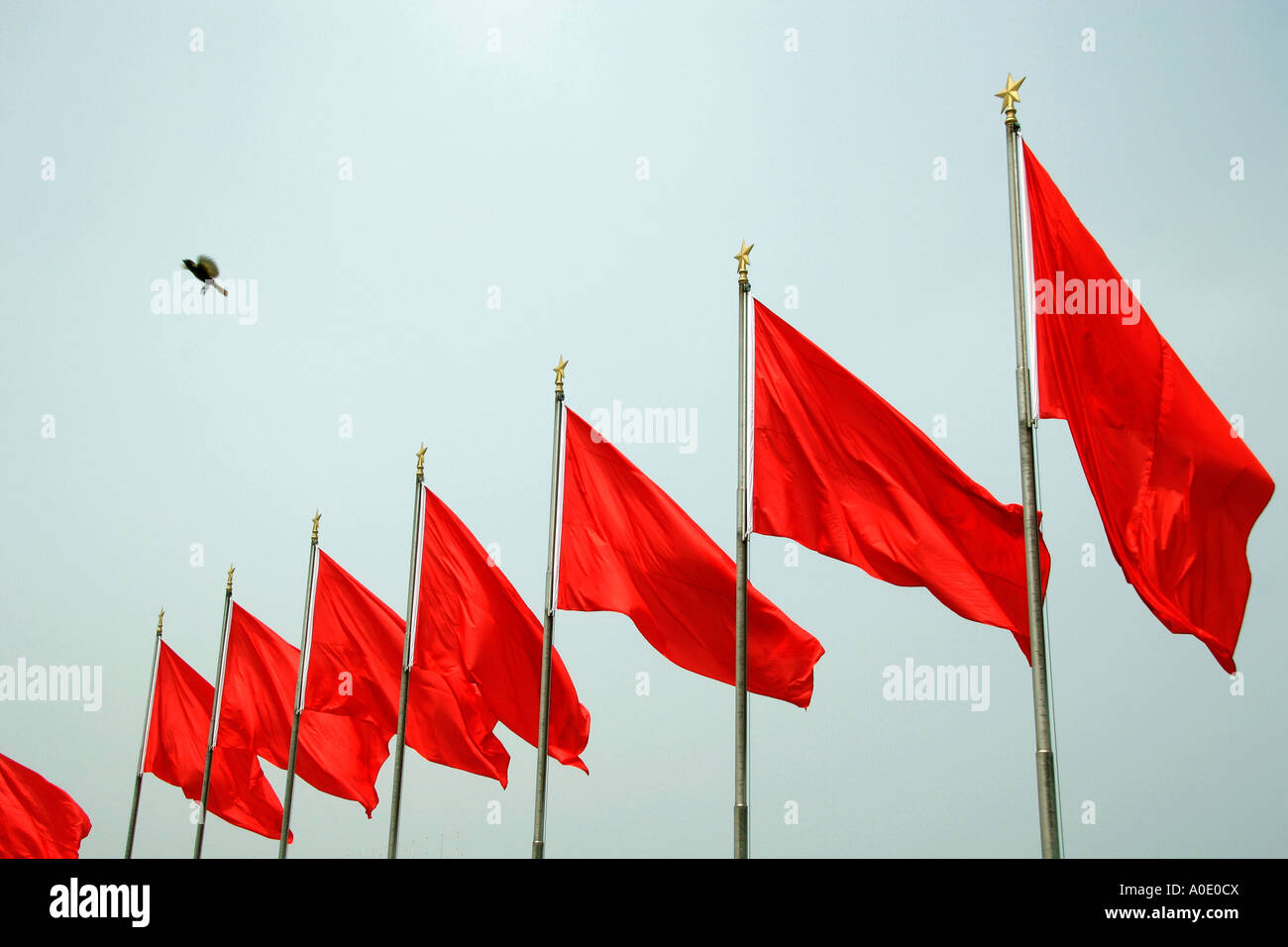 Red flags flying in Tiananmen Square, Beijing, China Stock Photo - Alamy