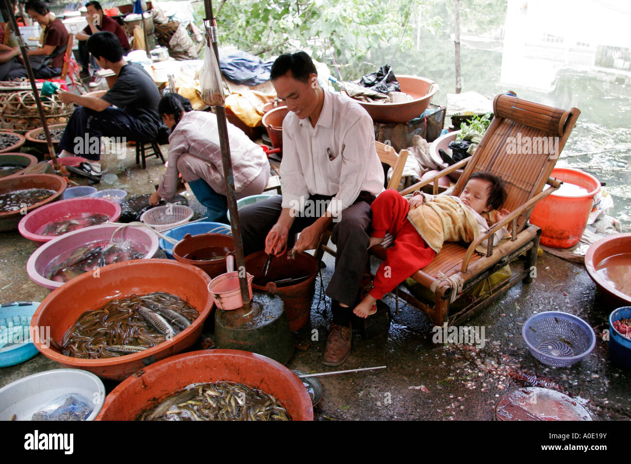 Stall owner and his sleeping child in the fish market in Yangshuo ...