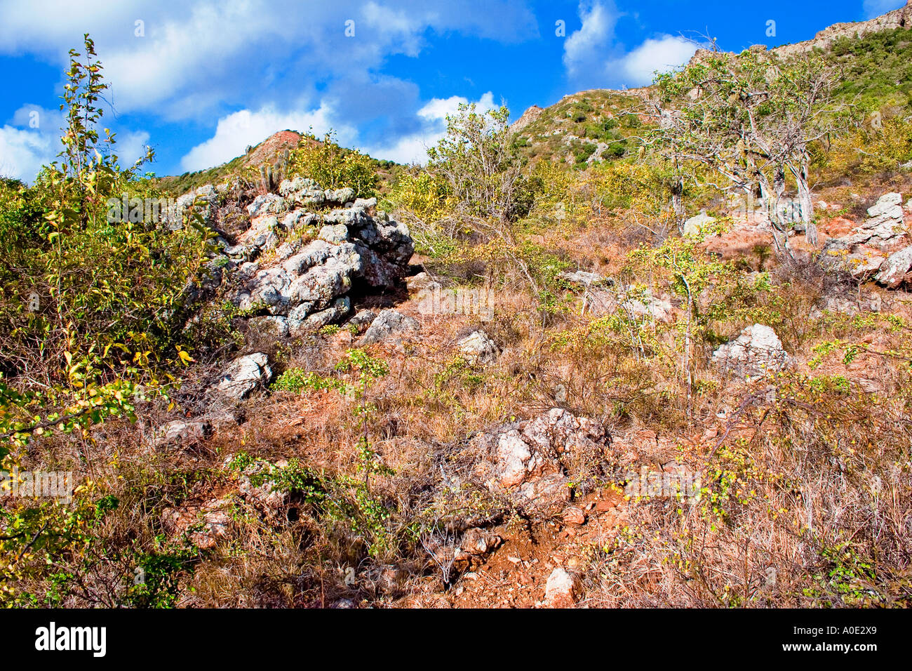 Christoffel national park curacao hi-res stock photography and images ...