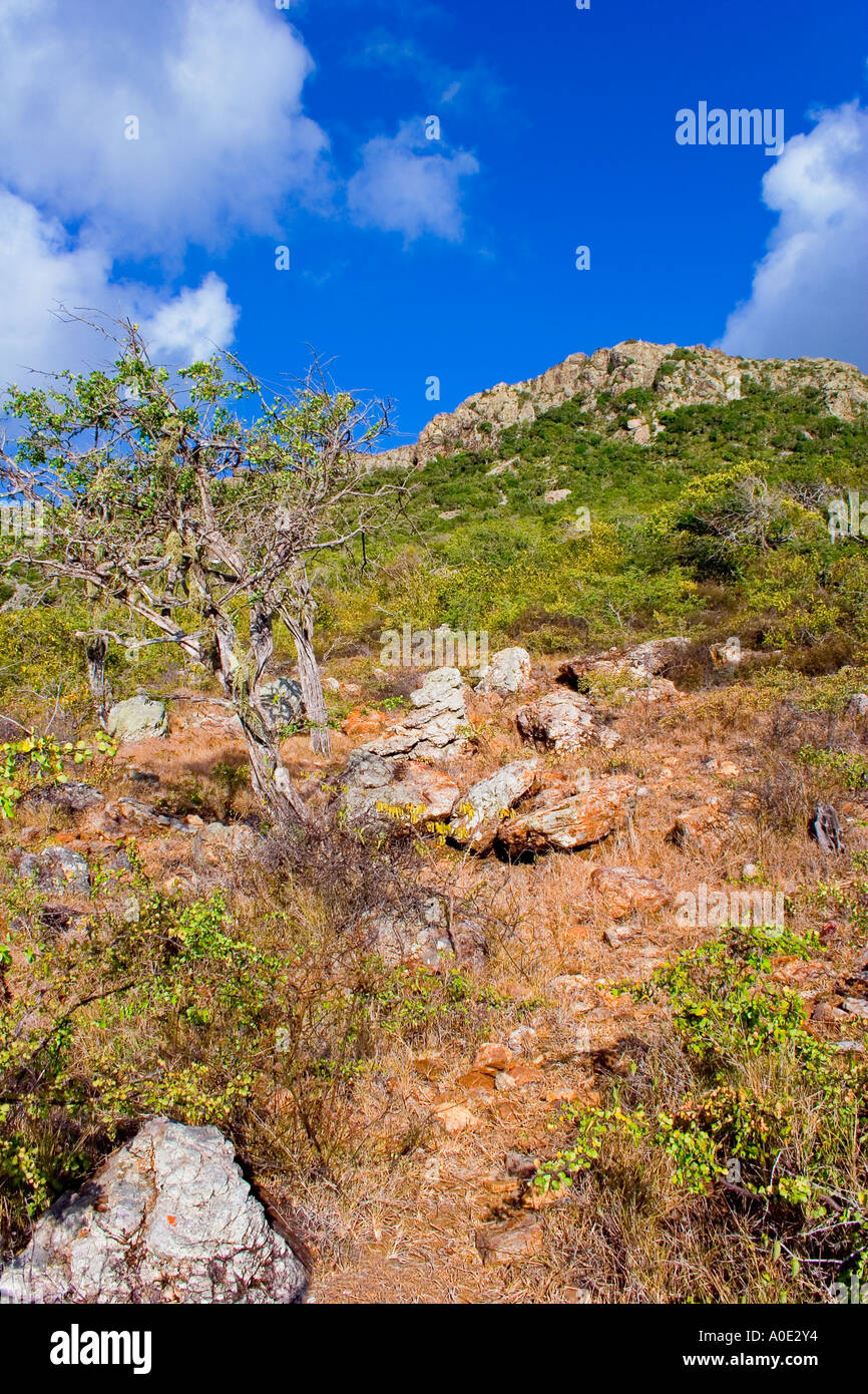Christoffel national park curacao hi-res stock photography and images ...
