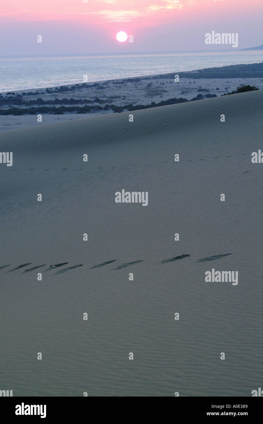 sand dunes sunset Stock Photo - Alamy