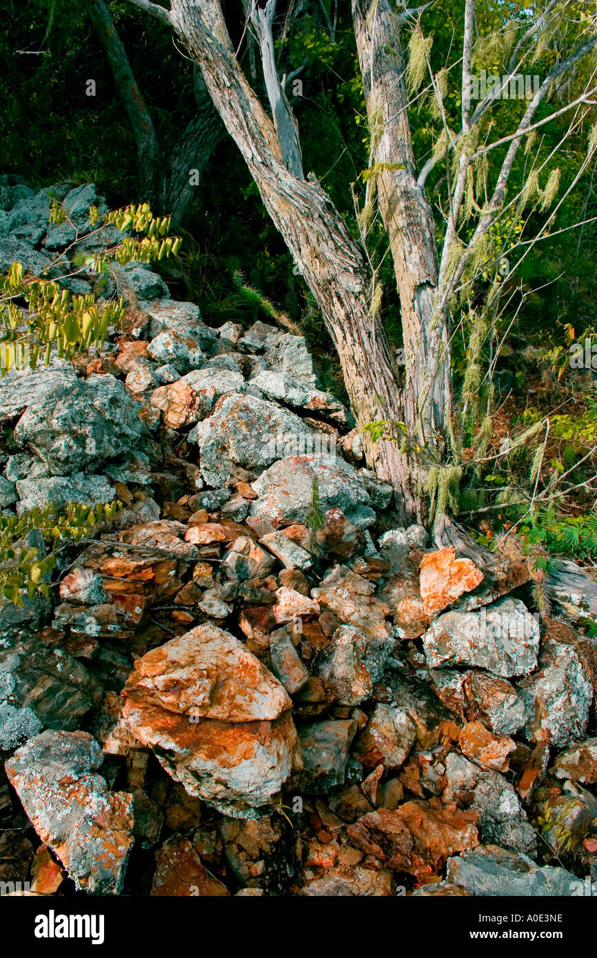 Christoffel national park curacao hi-res stock photography and images ...