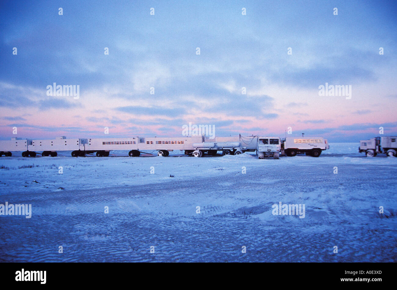 Near Wapusk National Park Hudson Bay Gordon Point Manitoba Canada North ...