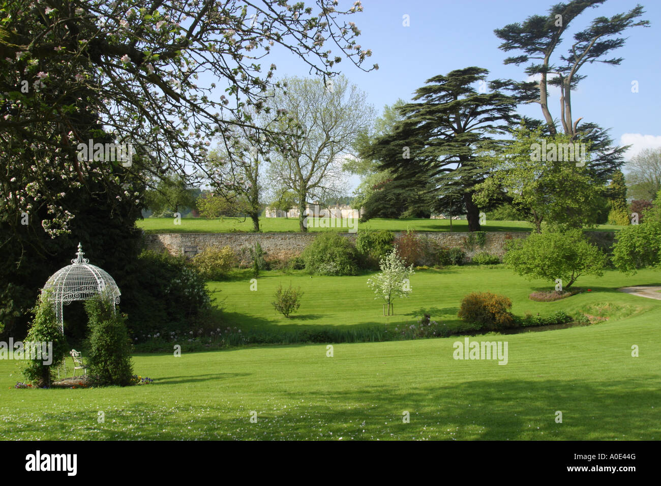 Manicured Trees High Resolution Stock Photography and Images - Alamy