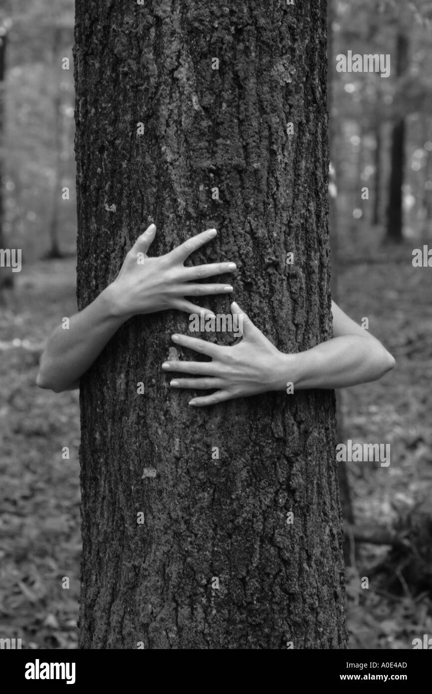 Tree hug Black and White Stock Photos & Images - Alamy